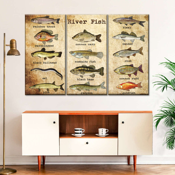 Millwood Pines River Fish Guide Chart Multi Piece Canvas Print On Canvas 3 Pieces Set | Wayfair